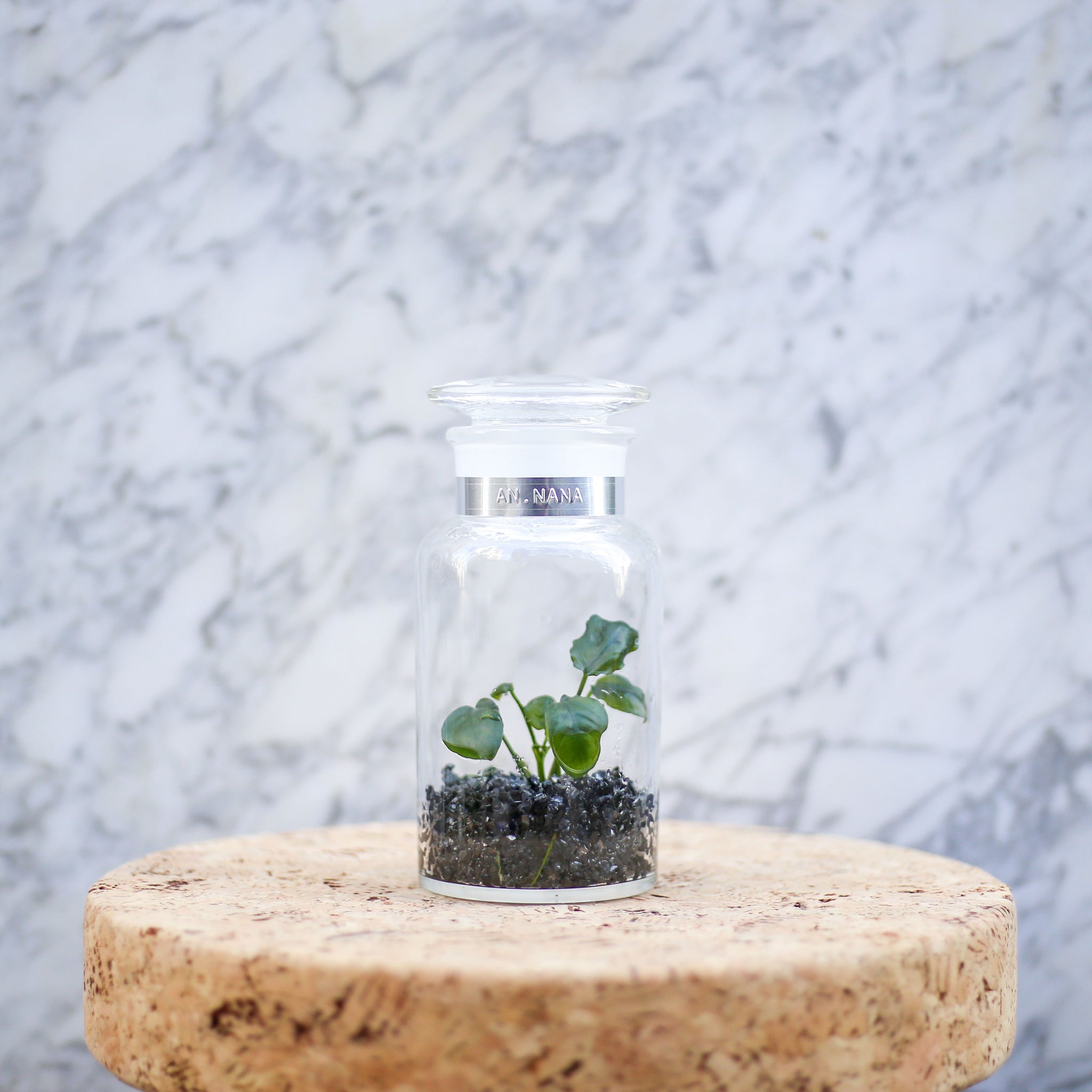 BOTANIST SHOP - ボタニストの公式オンラインショップ